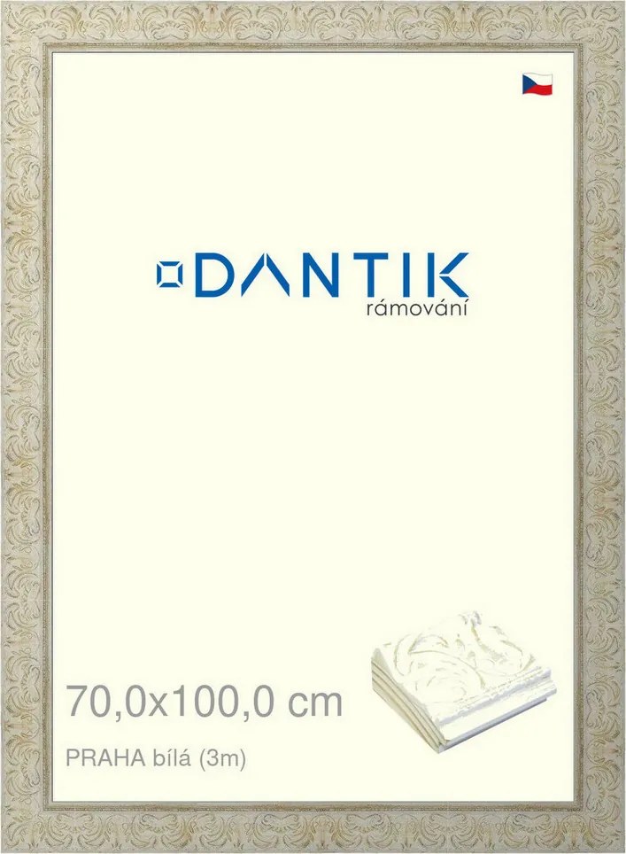 DANTIK rámeček 70x100 | PRAHA Bílá (Plexi Čiré)