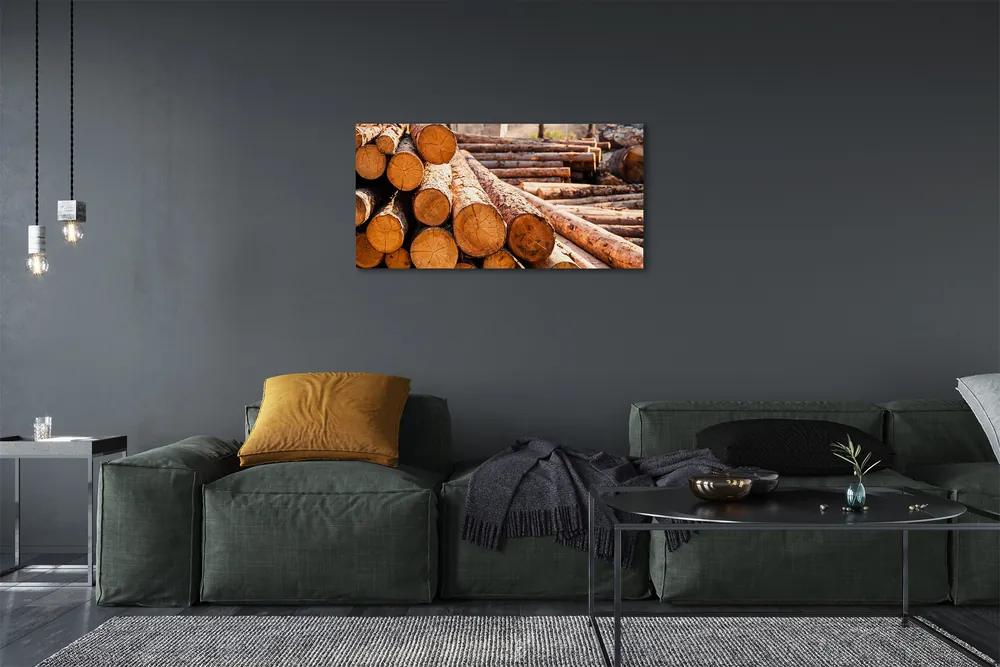 Obrazy na plátně Dřevěné kuličky 100x50 cm