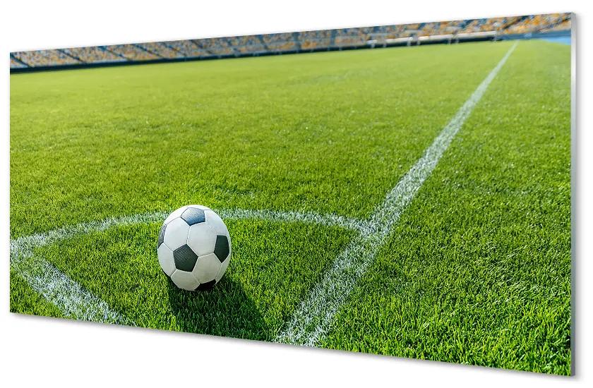 akrylový obraz Fotbalový stadion trávy 100x50 cm