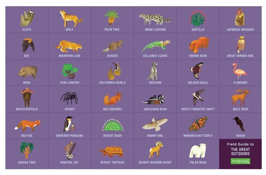 Mudpuppy Puzzle skládej a hledej Příroda 64 dílů
