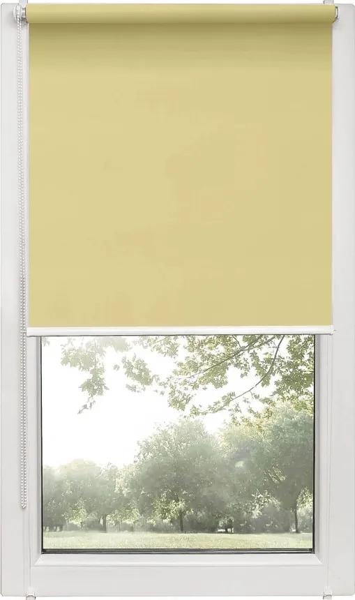 Roleta na okna - zatemňující PG6 Barva ovládání: Bílá, šířka: 43, výška: 150