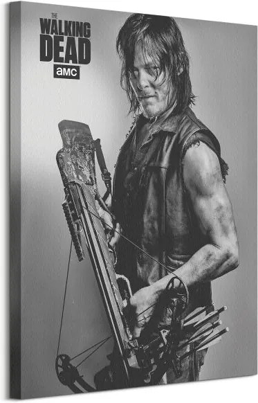 Obraz na plátně The Walking Dead Daryl 60x80cm WDC100070