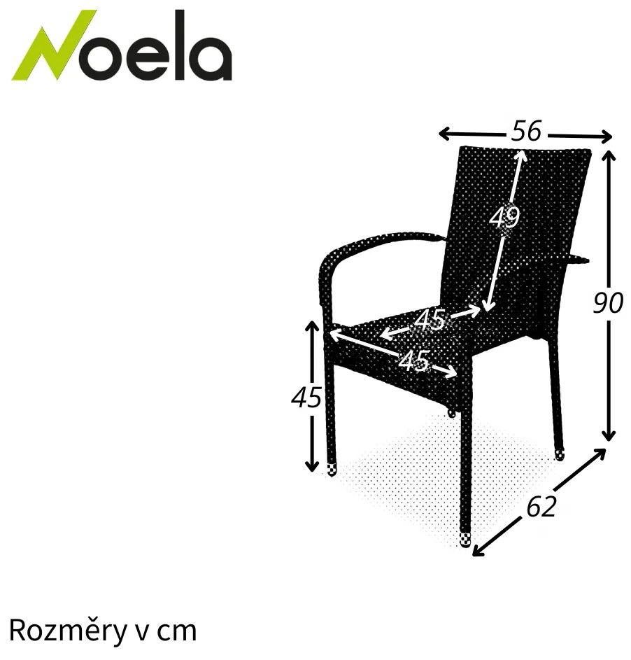 Noela Zahradní ratanová židle Paris