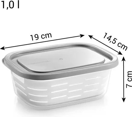TESCOMA Dóza do mrazničky s košíkem 4FOOD 1,0 l
