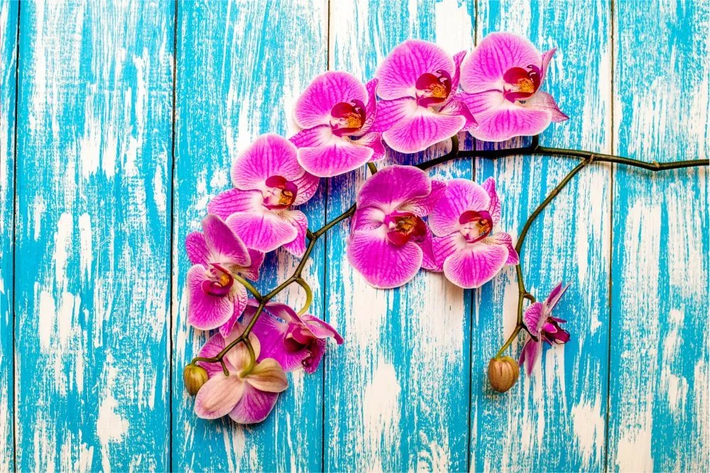 Fototapeta Orchideje Na Pozadí Desek Omyvatelný vlies 270x180