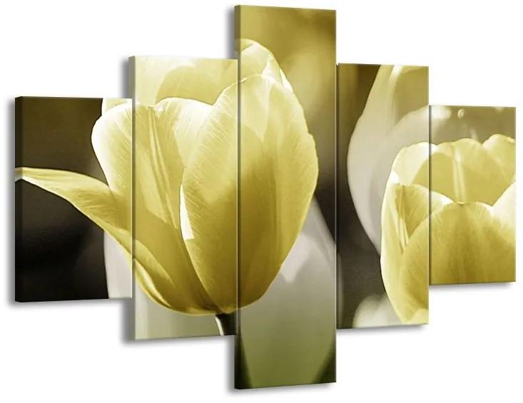 Krémová kvítka tulipánů 100x70 cm