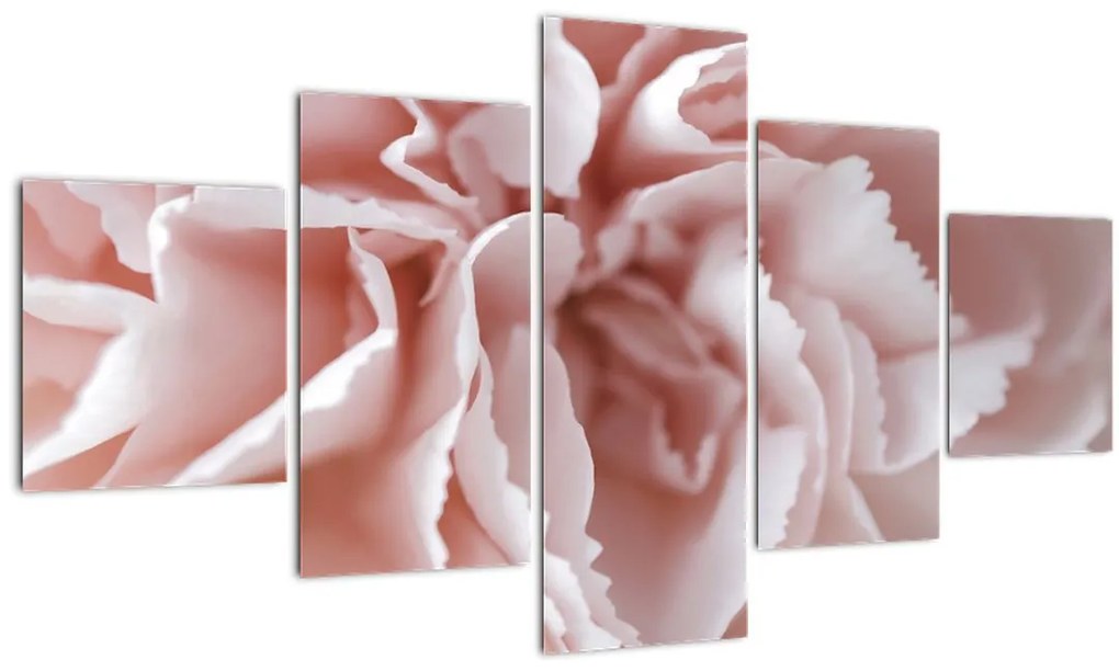 Obraz - Detail květu (125x70 cm)