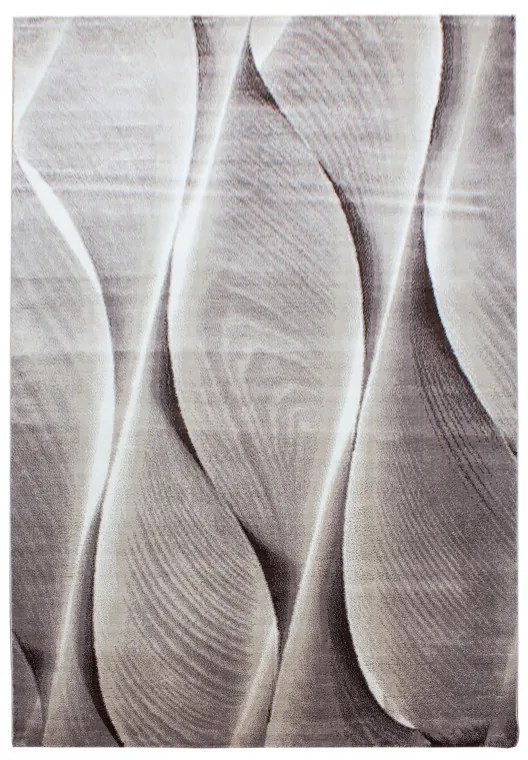 Ayyildiz, Kusový koberec Parma 9310 brown, 200x290, hnědá, chodba / předsíň