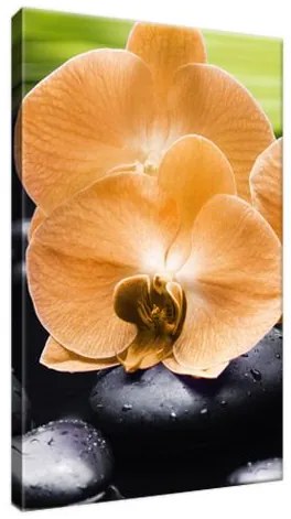 Obraz na plátně Oranžová orchidej 20x30cm 1713A_1S