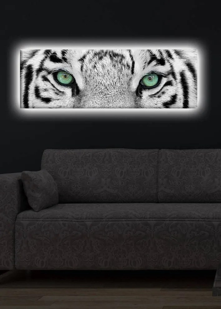 Obraz s led osvětlením White Tiger 90x30 cm