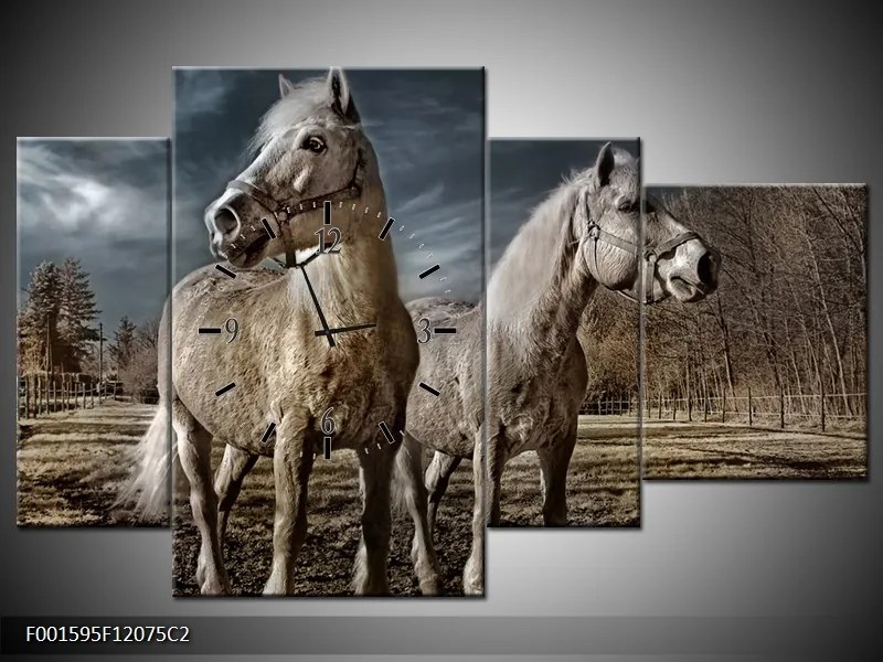 Obraz bílých koňí (120x75 cm), 40 dalších rozměrů