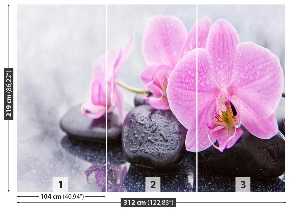 Fototapeta Orchidejové kameny 104x70