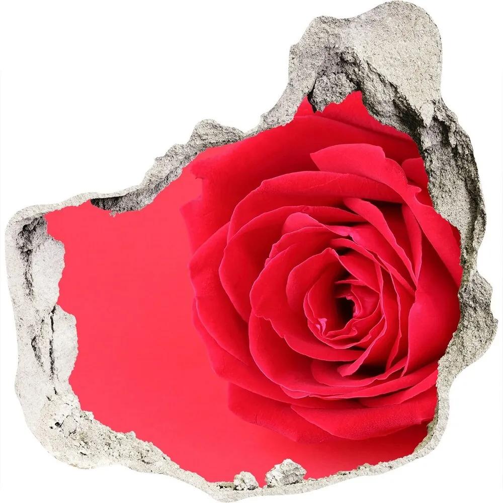 Wallmuralia Díra 3D fototapeta na stěnu Červená růže 75x75 cm