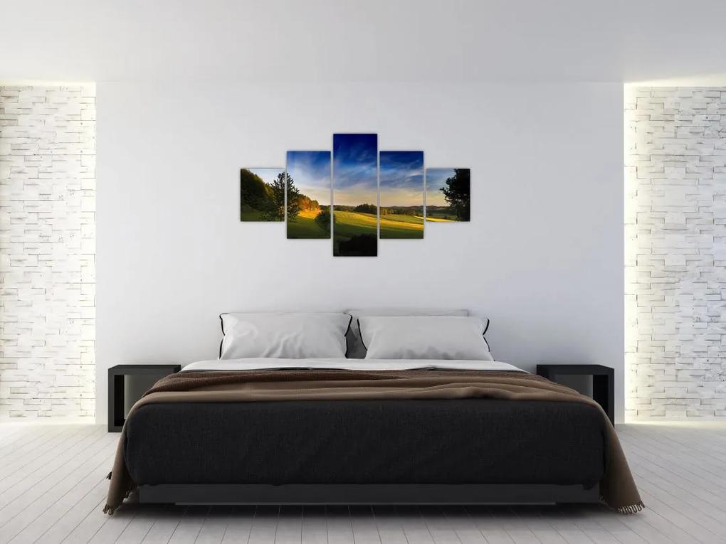 Obraz - Horská louka (125x70 cm)