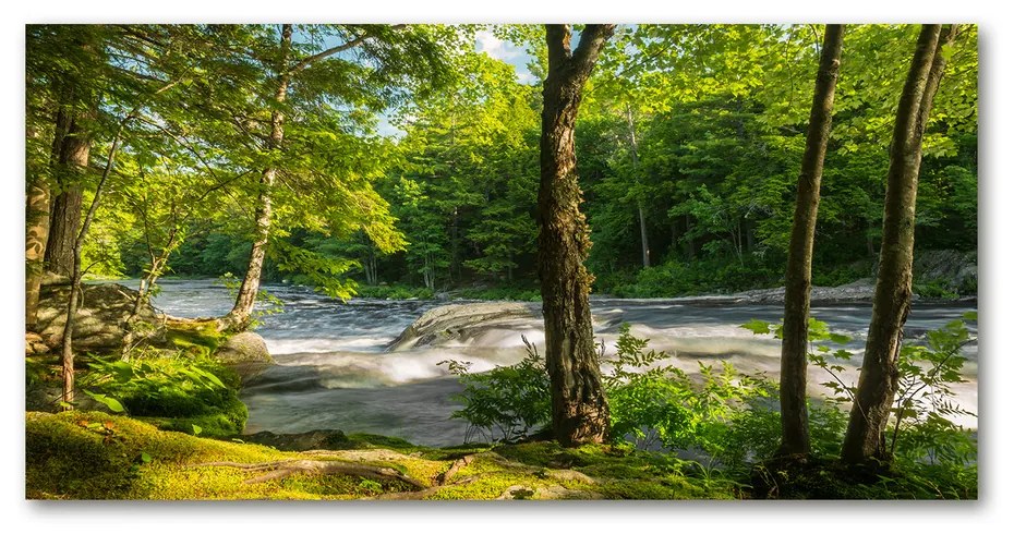 Wallmuralia Foto obraz akrylové sklo Řeka v lese 120x60 cm