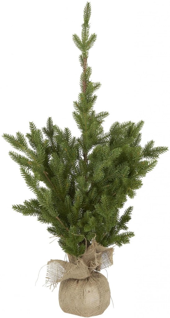 IB LAURSEN Umělý stromeček Pinetree 70cm, zelená barva, hnědá barva, plast