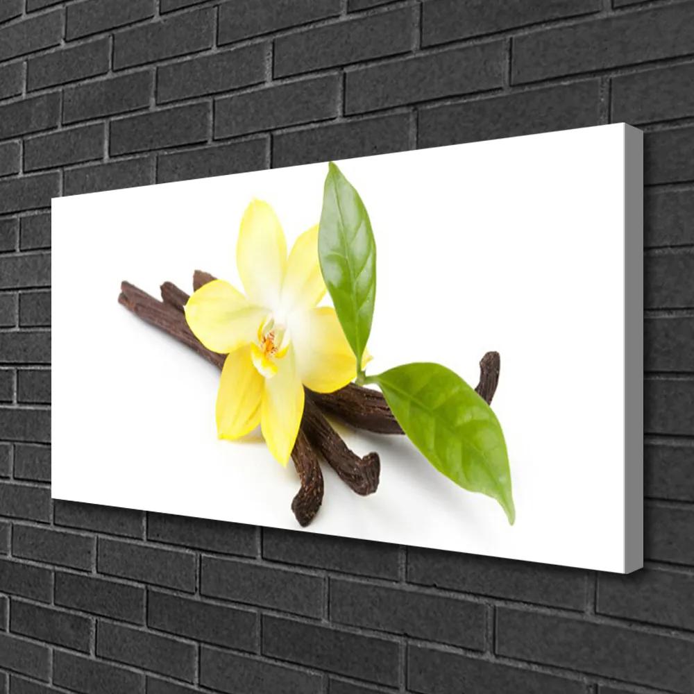 Obraz na plátně Vanilka Listy Rostlina 100x50 cm