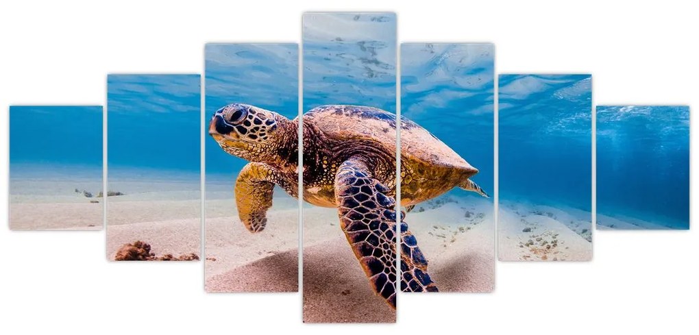 Obraz želvy v oceánu (210x100 cm)