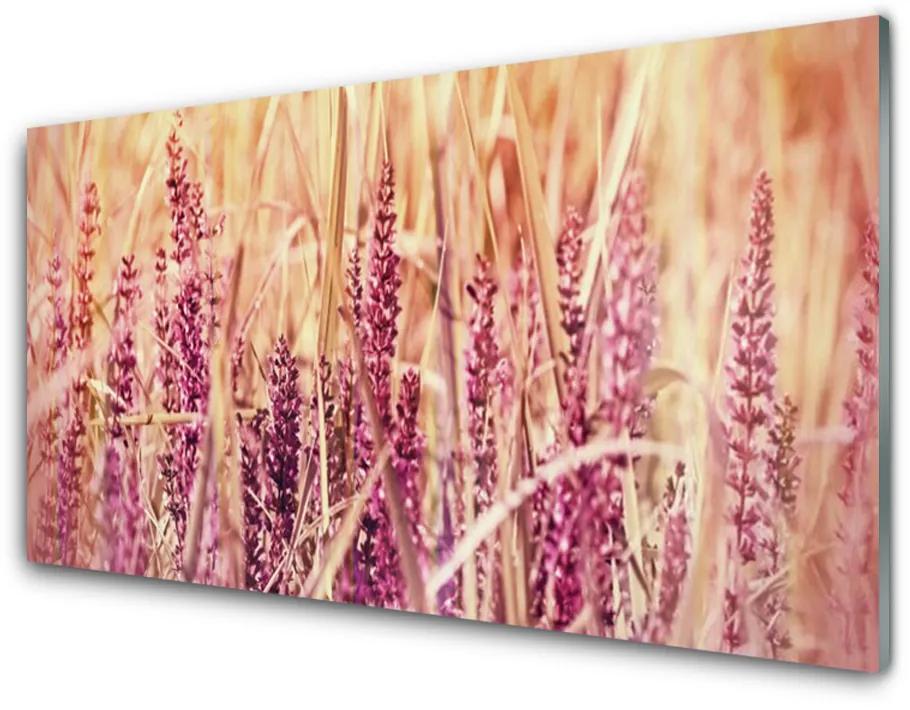 Plexisklo-obraz Pšenice Rostlina Příroda 140x70 cm