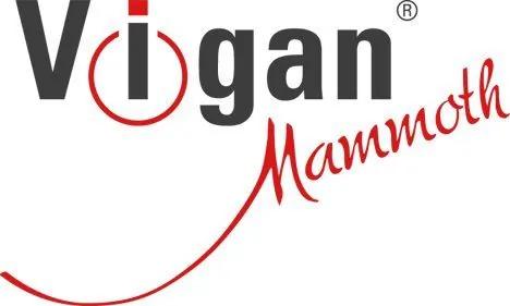 VIGAN Mammoth Dvouvařič se sklokeramickými plotýnkami VIGAN - bílý smalt SKV2B