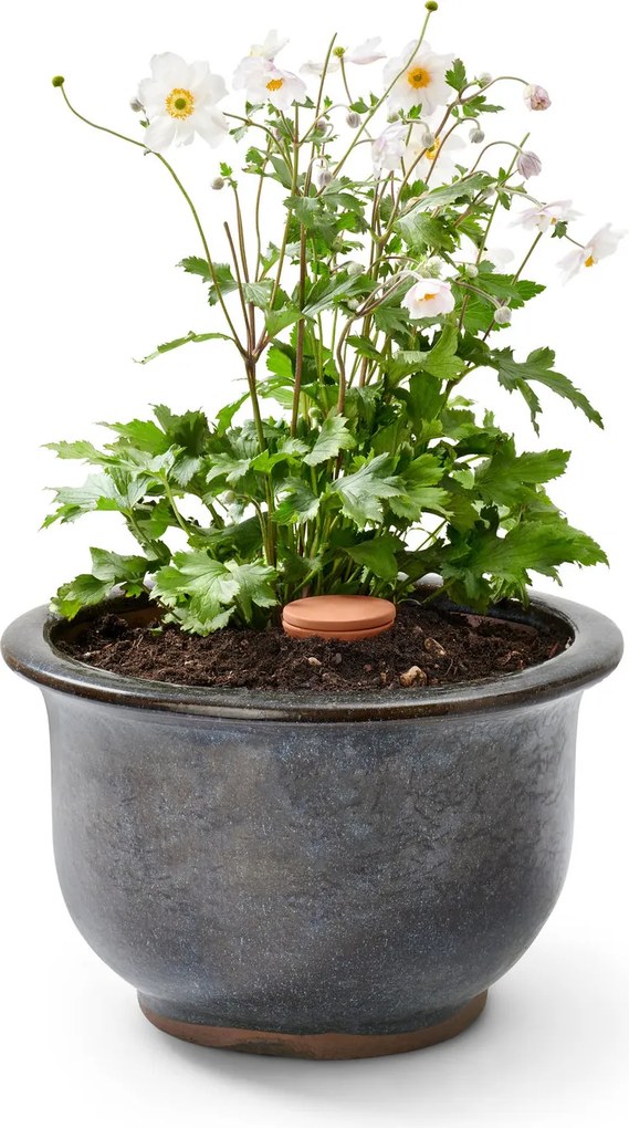 Tchibo - Hliněný pomocný zavlažovač, velký, 2 ks