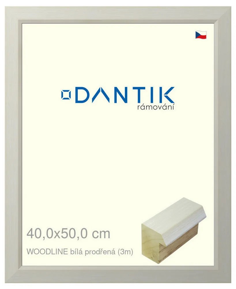 DANTIK rámeček 40x50 | WOODLINE bílá prodřená (Plexi Čiré)