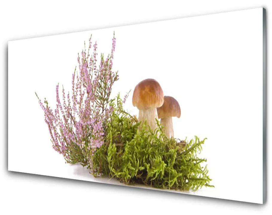 Obraz na skle Houby Rostlina Příroda 125x50 cm