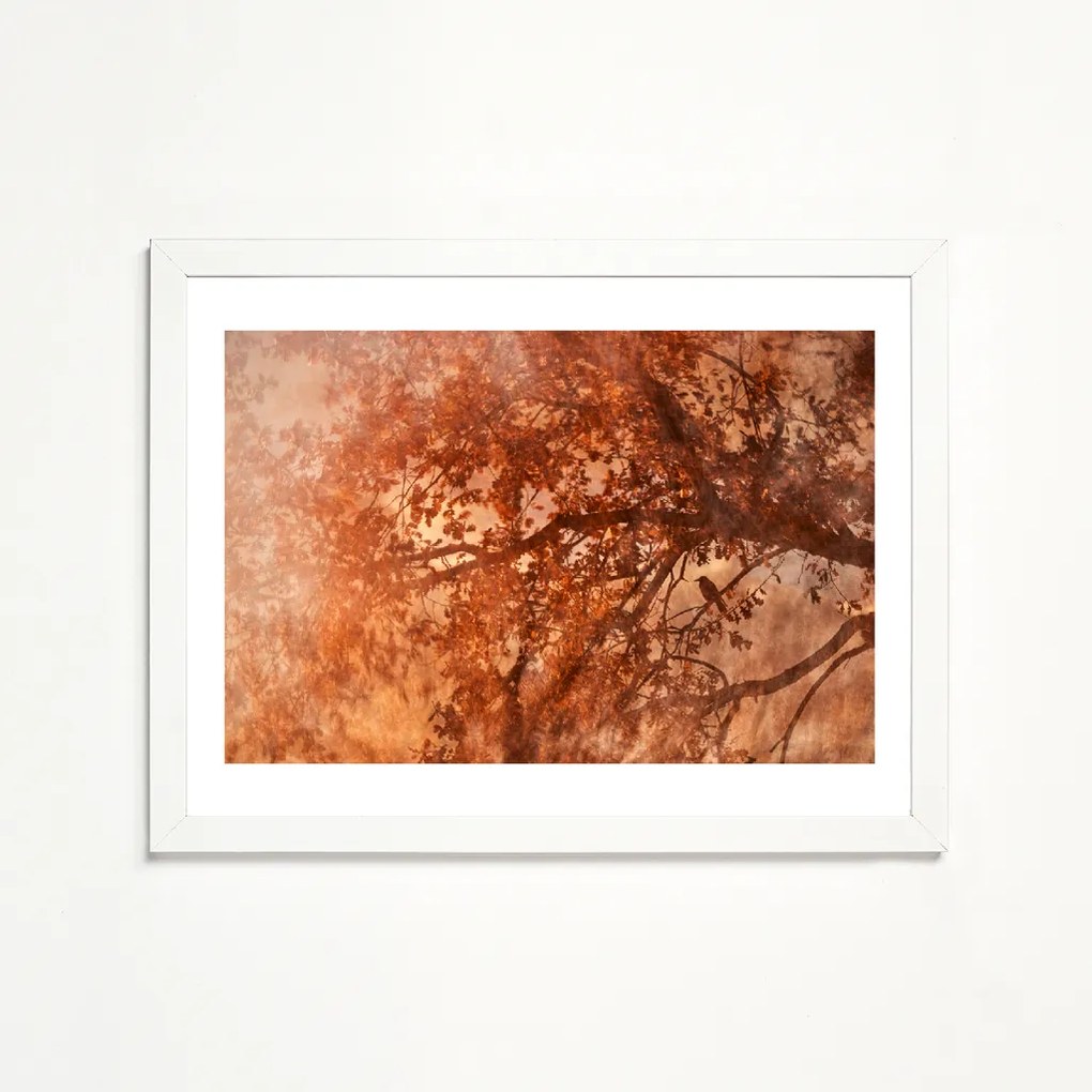 Jiří Hřebíček | Enchanted in Autumn Rám: Bez rámu, Velikost: 20 x 30 cm