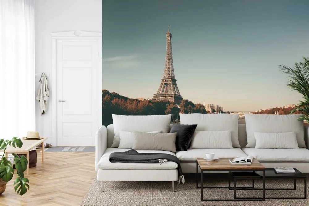 Fototapeta Paříž Eiffelova Věž Vliesová tapeta 450x300