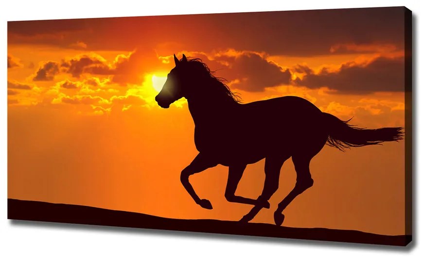 Wallmuralia Foto obraz na plátně do obýváku Kůň západ slunce 120x60 cm