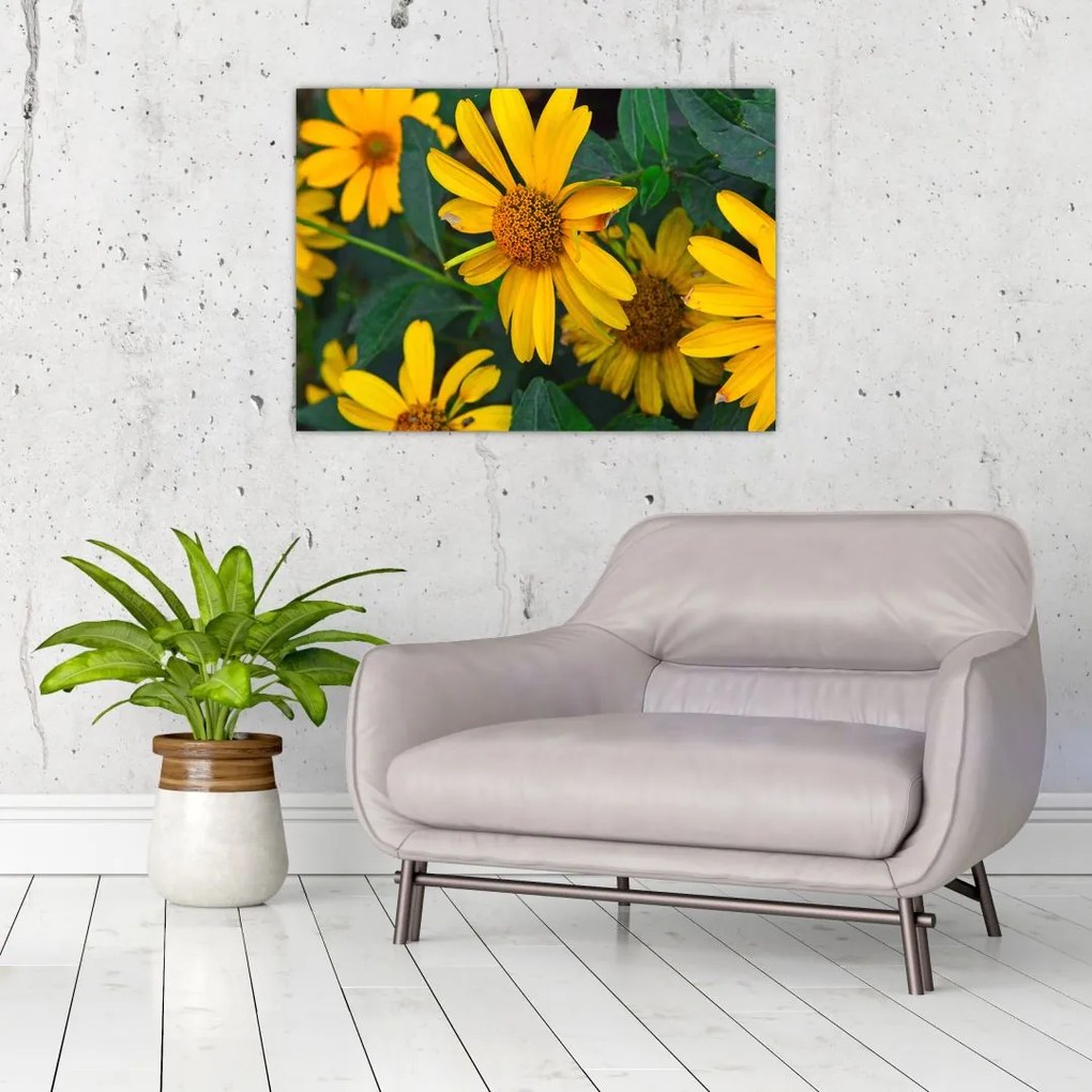 Skleněný obraz žlutých květin (70x50 cm)