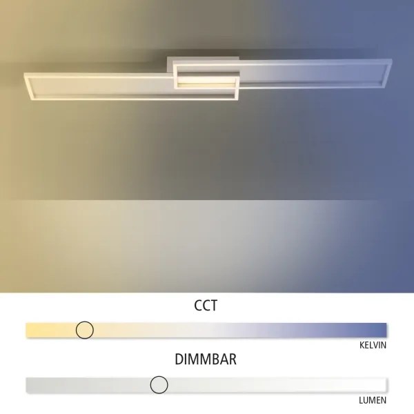 Paul Neuhaus 8371-55 - LED Stmívatelné stropní svítidlo AMARA LED/40W/230V + DO