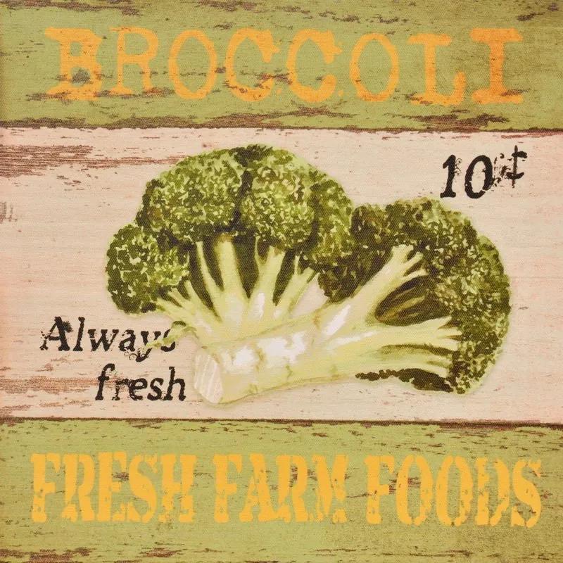 Obraz na plátně - Broccoli (Fresh Farm Foods)