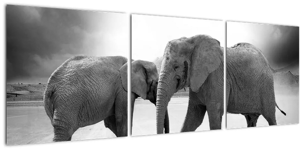 Obraz slonů (120x40 cm), 40 dalších rozměrů