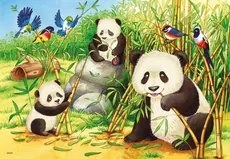 Ravensburger Koaly a pandy 2 x 24 dílků