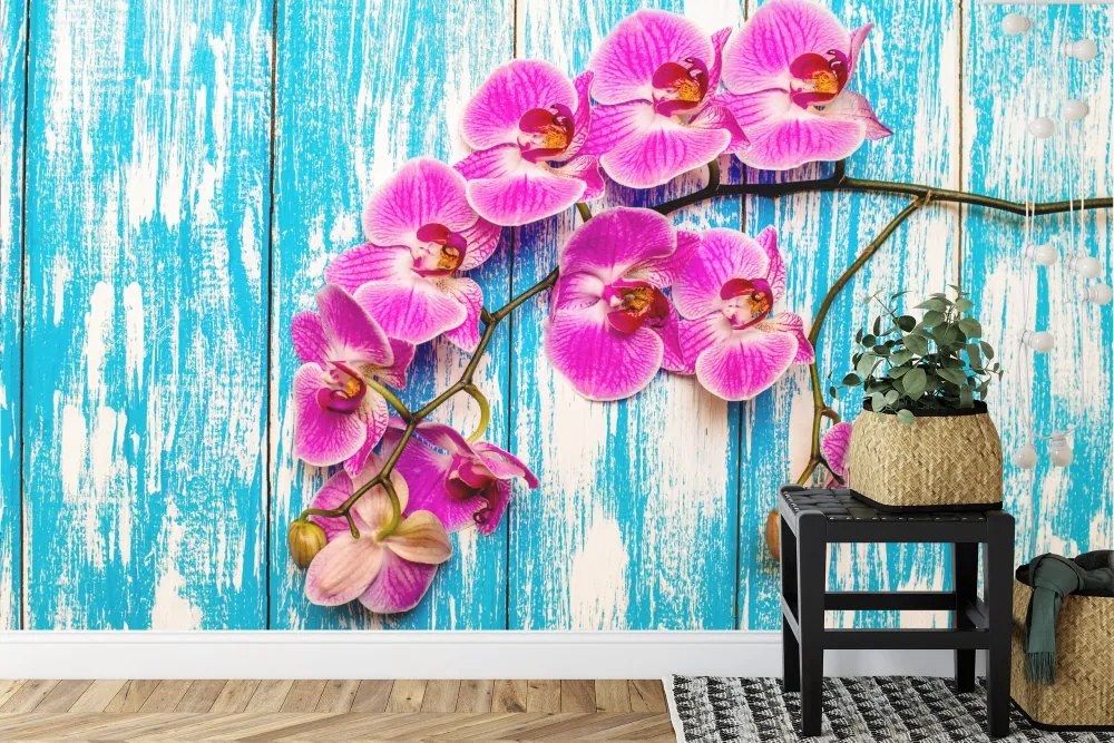 Fototapeta Orchideje Na Pozadí Desek Omyvatelný vlies 152.5x104