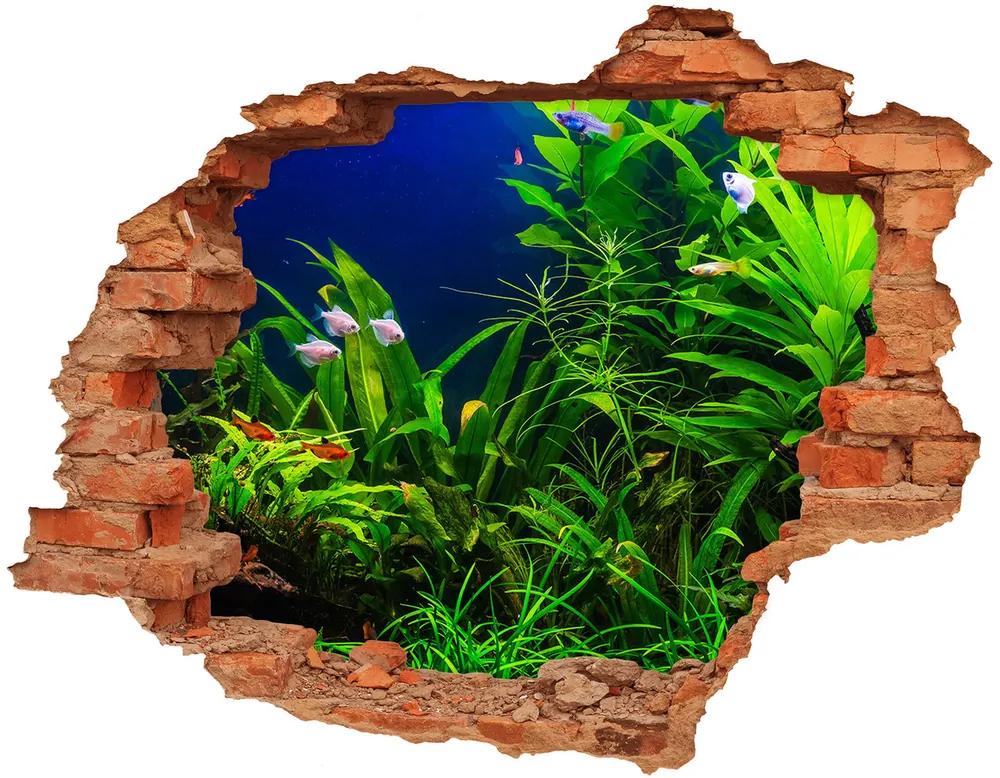 Wallmuralia Díra 3D ve zdi nálepka Ryby v akváriu 90x70 cm