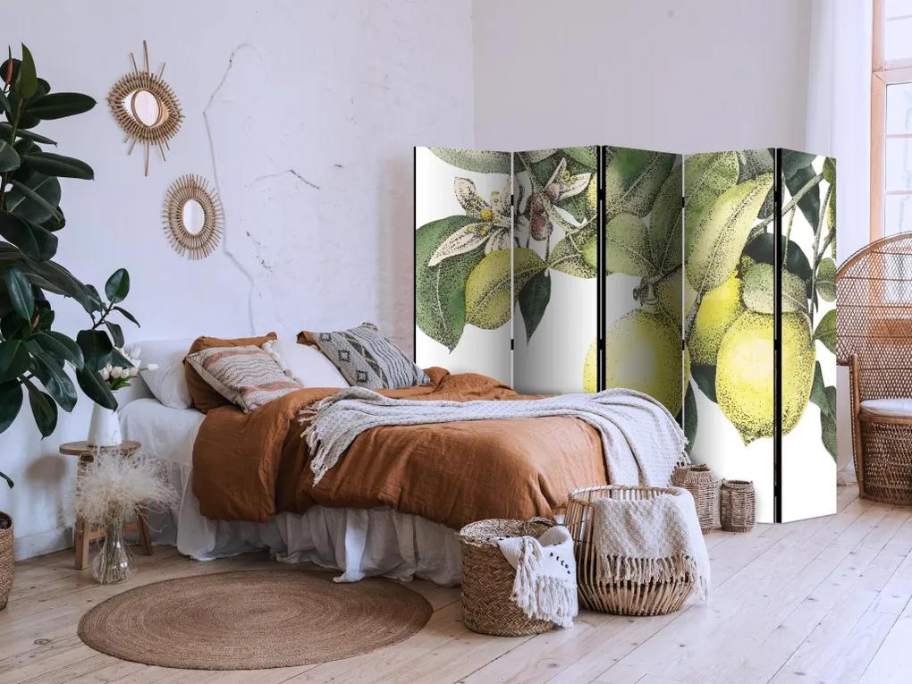 Pokojová zástěna Lemons and Leaves - Citrus Fruits on a Tree II [Room Dividers]