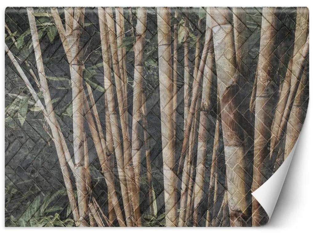 Fototapeta, Bambusový les - 450x315 cm