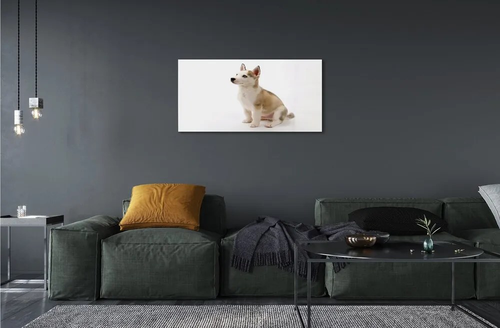 Obraz na skle Sedící malého psa 120x60 cm