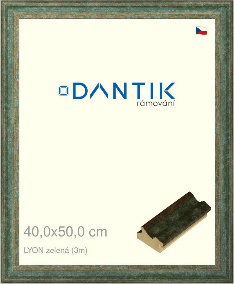DANTIK rámeček 40x50 | LYON zelená (Plexi Čiré)