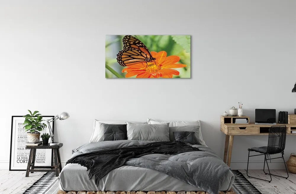Obrazy na plátně Květ barevný motýl 125x50 cm