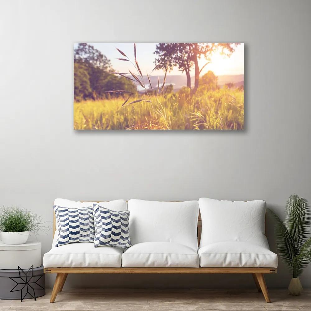 Obraz na plátně Louka Tráva Strom Příroda 100x50 cm