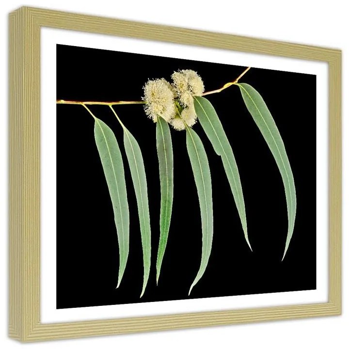 CARO Obraz v rámu - Eucalyptus Leaves 90x60 cm Přírodní