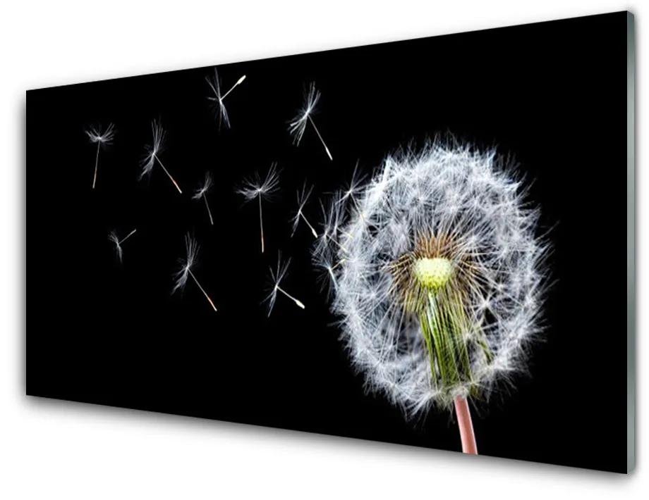 Obraz na skle Pampelišky Květiny Příroda 120x60 cm