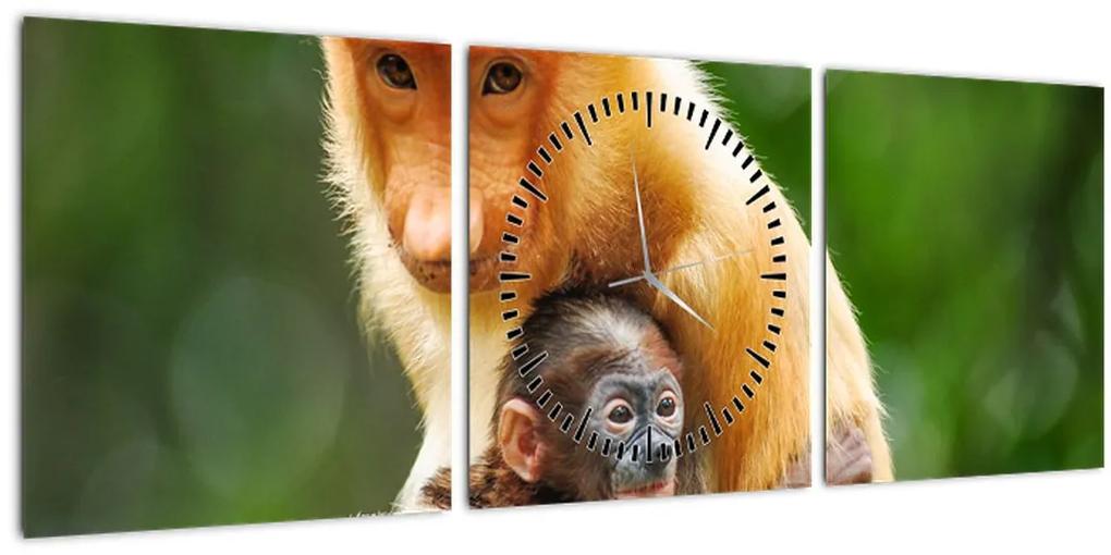 Obraz opic (s hodinami) (90x30 cm)