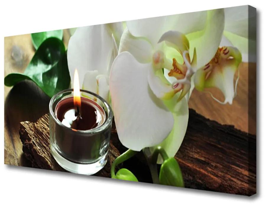 Obraz na plátně Orchidej Svíce do Lázní 120x60 cm