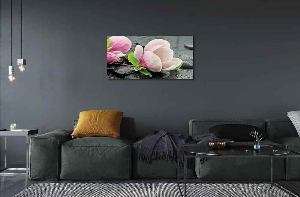 Obraz na skle Magnolia kameny 100x50 cm