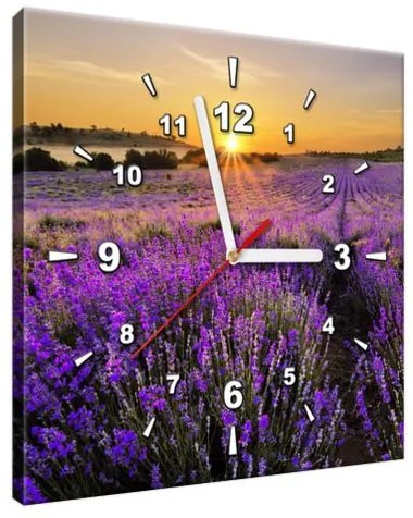 Tištěný obraz s hodinami Levandulové pole 30x30cm ZP1154A_1AI