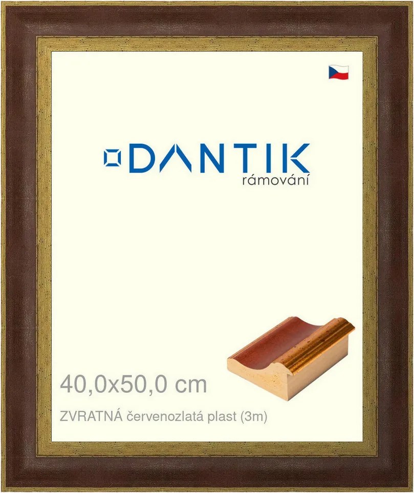 DANTIK rámeček 40x50 | ZVRATNÁ červenozlatá plast (Sklo Čiré)